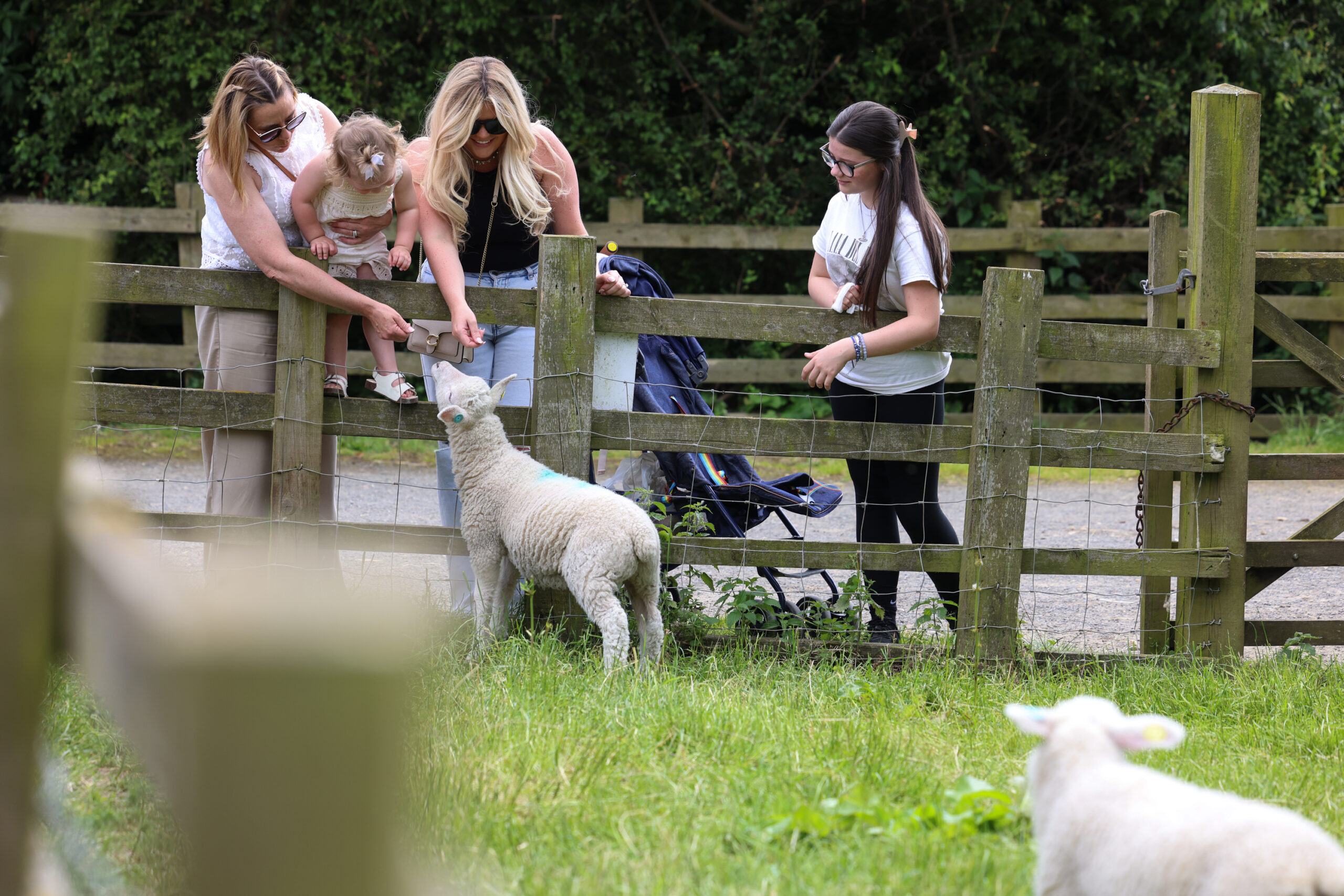 Newham Grange Farm - We are Middlesbrough