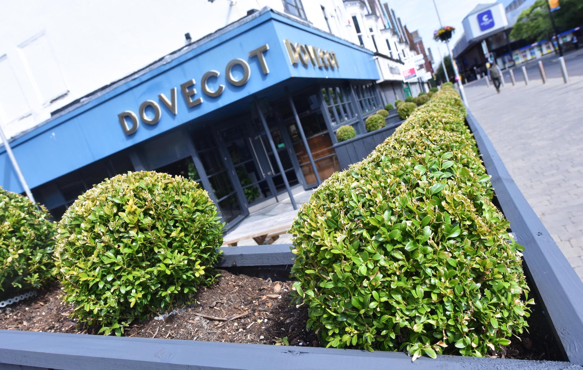 The Dovecot - We are Middlesbrough